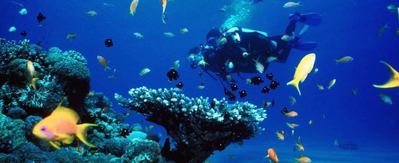 Netrani Island Scuba Diving Experience | Rustik Travel